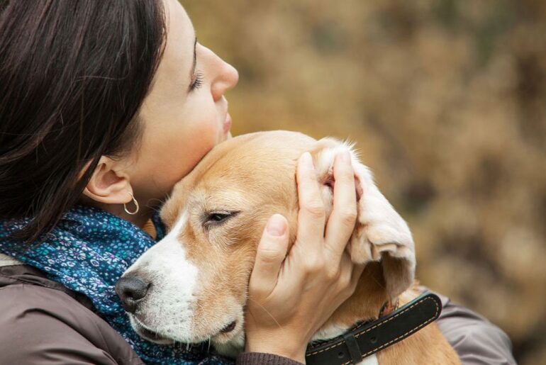 Dog Owners Warned Of potentially Fatal Coughing Illness On The Rise Dog Owners Warned Of potentially Fatal Coughing Illness On The Rise